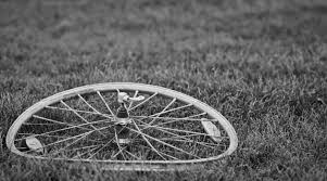 Bust Wheel | FELLOE Co., Ltd.